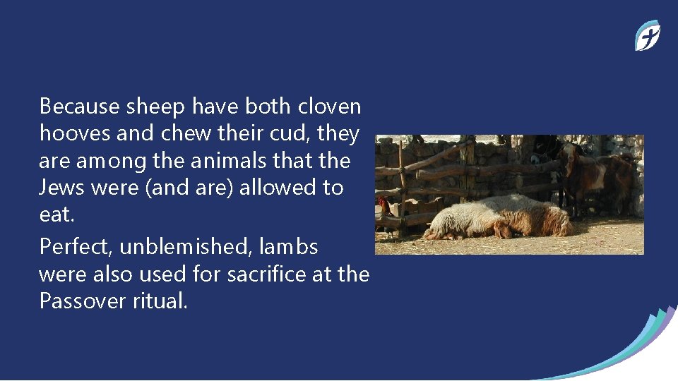 Teaching and Learning About Scripture Occupations Shepherding Tax