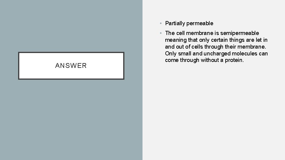 CELL VOCABULARY QUIZ PART 2 EQUILIBRIUM When opposing