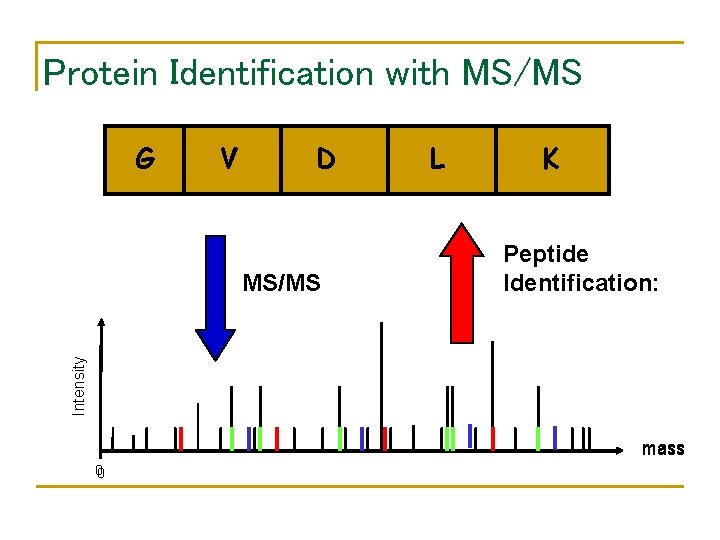 Protein Sequencing and Identification by Mass Spectrometry Masses