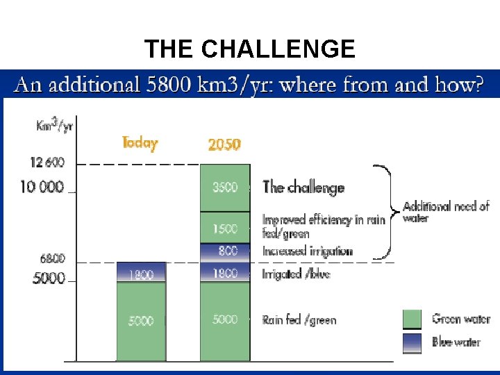 LECTURE 10 GLOBAL WATER CRISIS 3 rd Nov