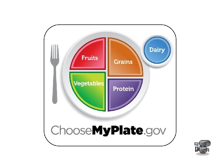 What Is My Plate My Plate shows us
