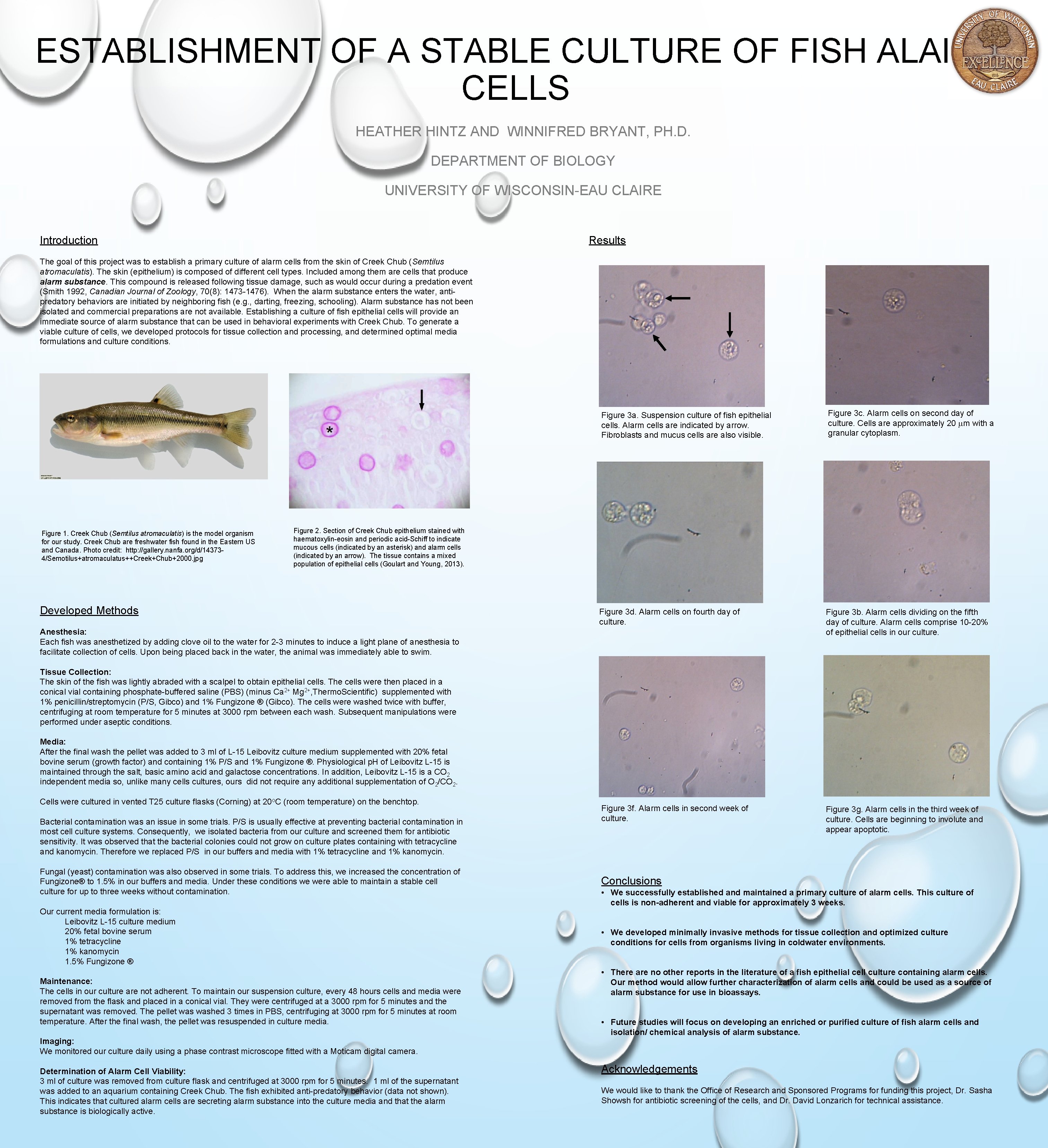 ESTABLISHMENT OF A STABLE CULTURE OF FISH ALARM