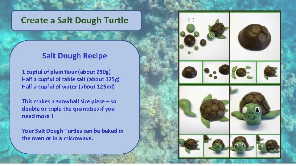 WORLD OCEANS DAY 2020 SEA TURTLES Interesting Facts