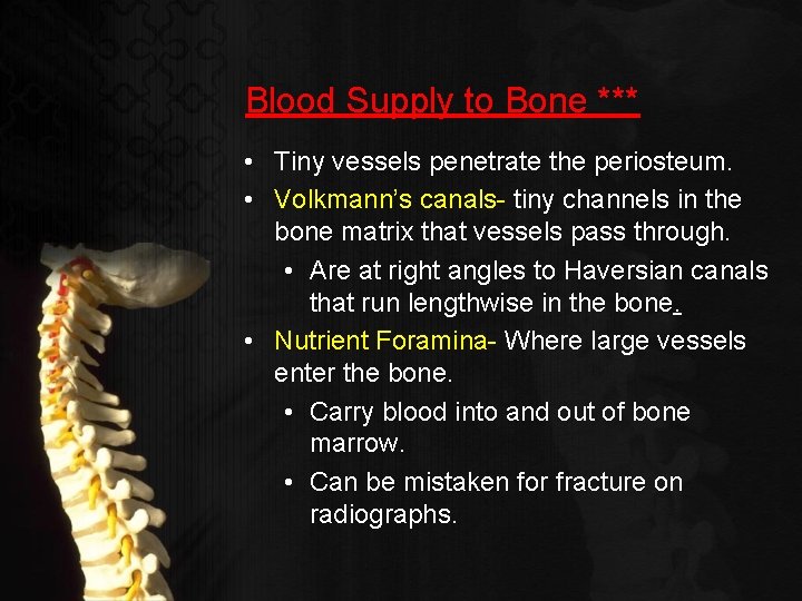 Functions of Bone Support and Protection It provides