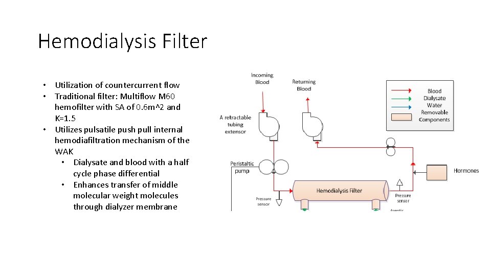 Group B Presenters Erinne Munie Tyler Roneker Peter