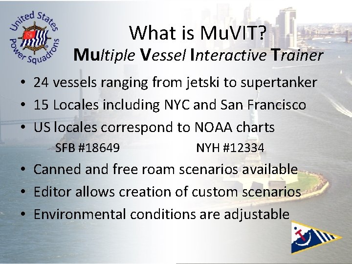 What is Mu VIT Multiple Vessel Interactive Trainer