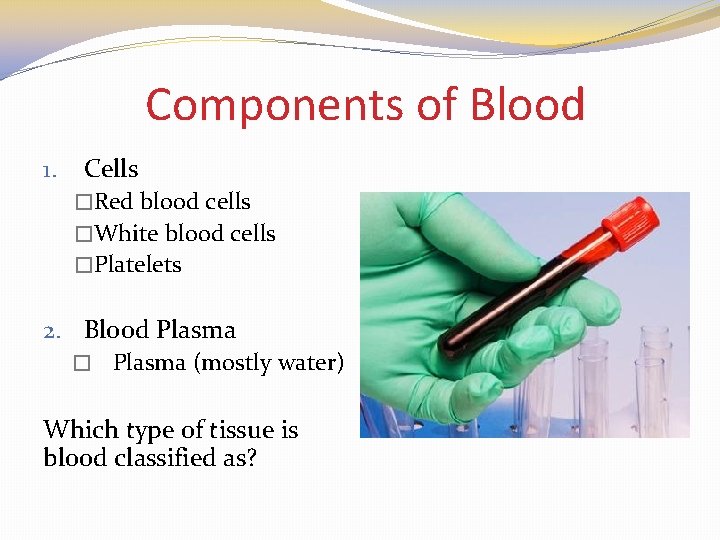 Blood and Blood Typing Fact or Fiction The