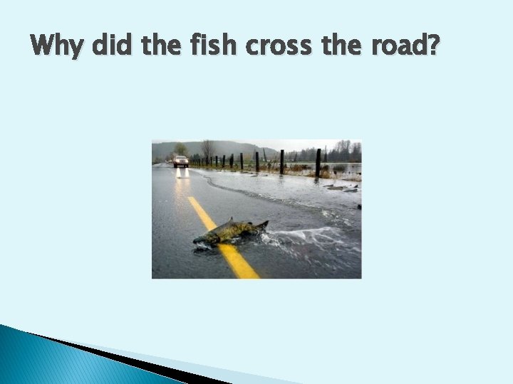 Fish Passage in BC Status Issues and Solutions