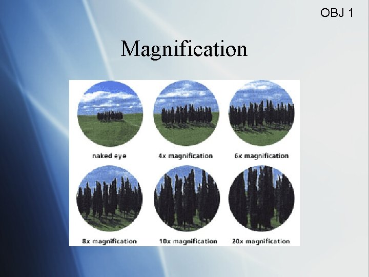 Topic 1 Microscopes and Microscopy OBJ 1 2
