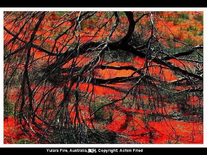 The beautiful Nature 04 04 Turkey Copyright necla