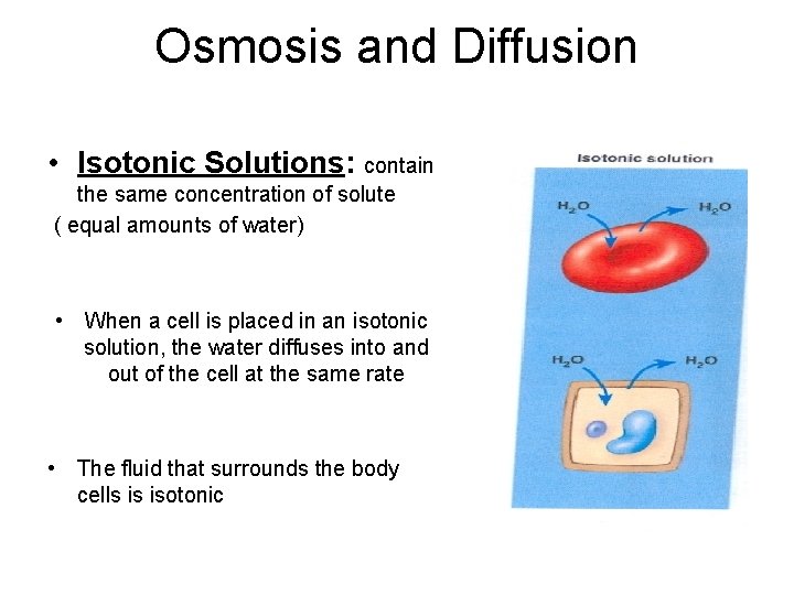 Osmosis and Diffusion Terms and definitions Osmosis and