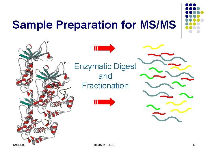 Protein Identification Using Mass Spectrometry Nathan Edwards Department