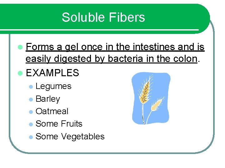 Fiber What is Fiber l Plant materials that