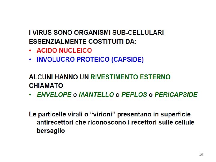 I virus cosa sono Dimensioni struttura e classificazione