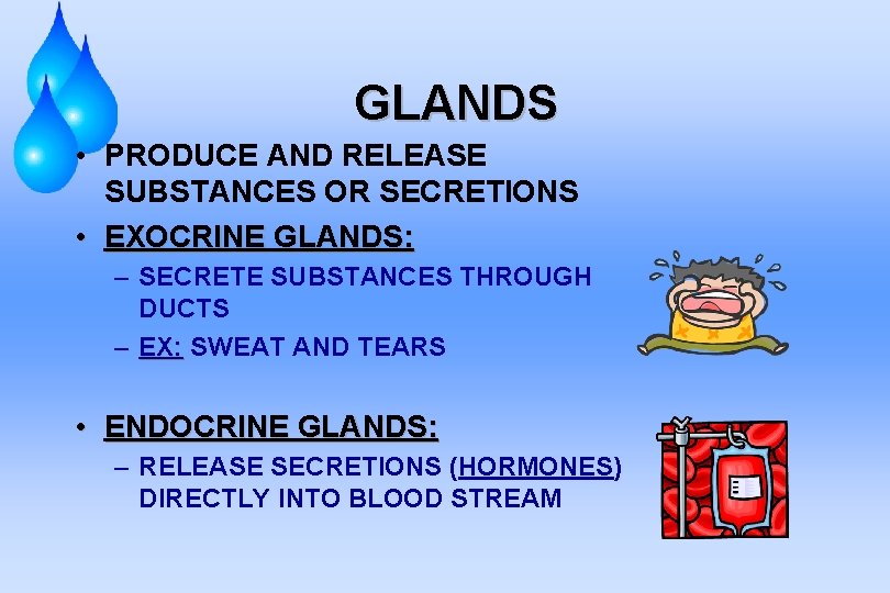 The Endocrine System Broadcasting throughout the body PURPOSE