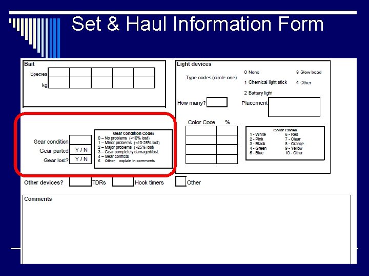 Demersal Longline Set Haul Information and Catch Composition