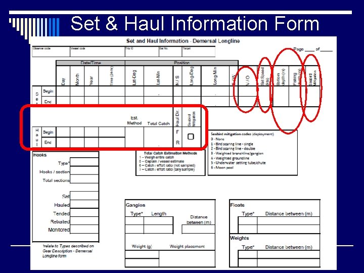 Demersal Longline Set Haul Information and Catch Composition