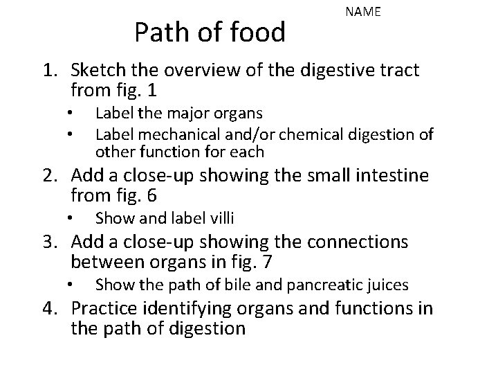 Path of food NAME 1 Sketch the overview