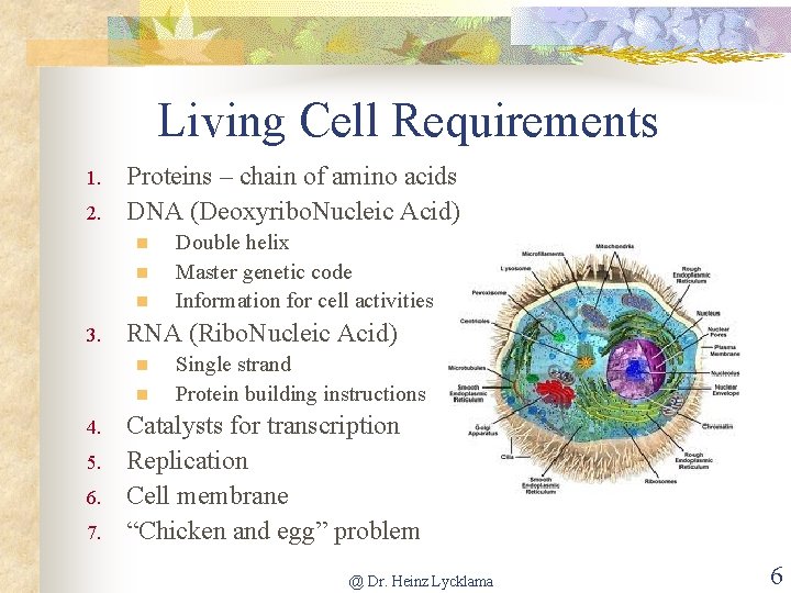 Information The Basis For Life Dr Heinz Lycklama