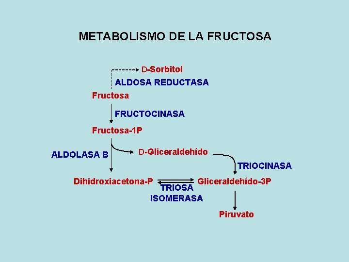 METABOLISMO DE LA GALACTOSA Galactitol ALDOSA REDUCTASA Galactosa