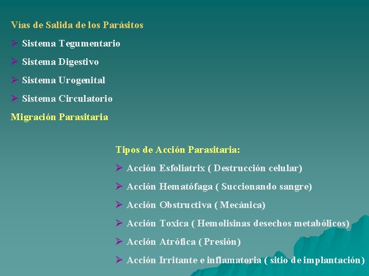 GENERALIDADES DE PARASITOLOGA Generalidades de Parasitologa Simbiosis Tipos