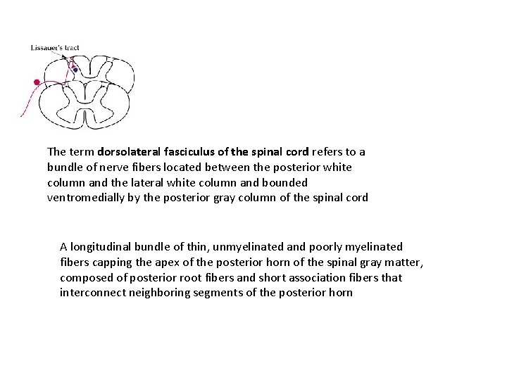 Spinal cord ascending tracts Naming the tracts If