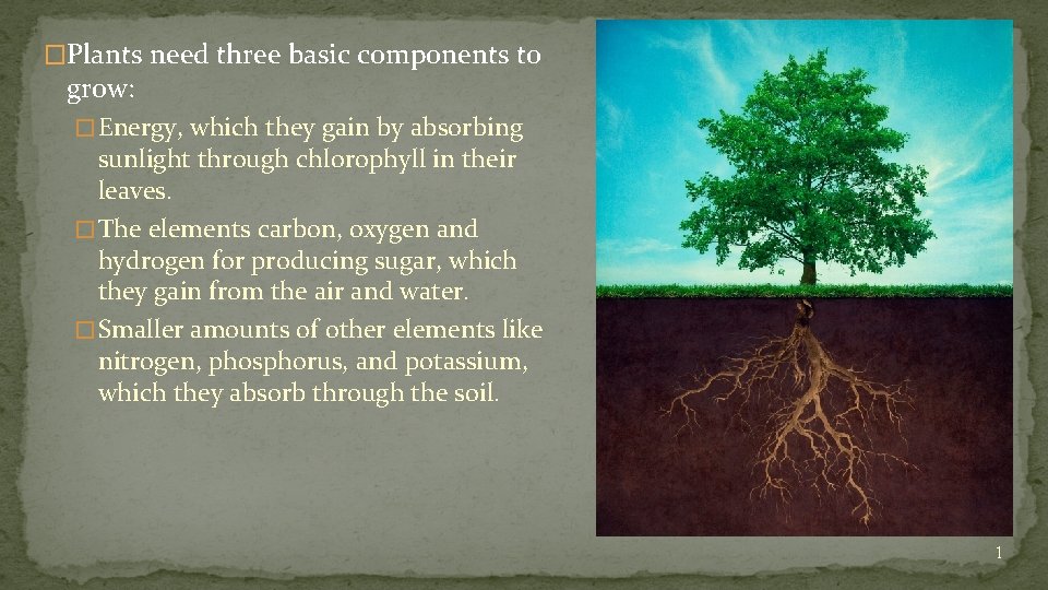 Plants need three basic components to grow Energy