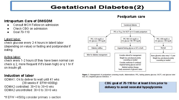 Risk Factors Obeseoverweight Hx of macrosomia Previous pregnancy