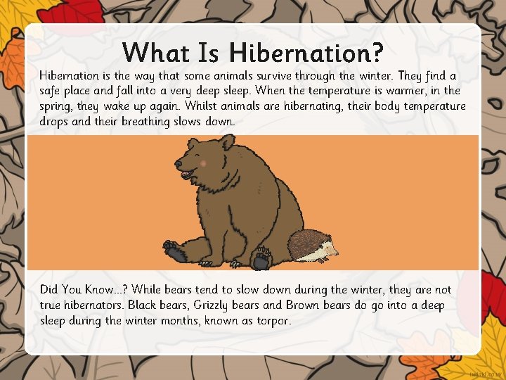 Hibernation What Is Hibernation Hibernation is the way
