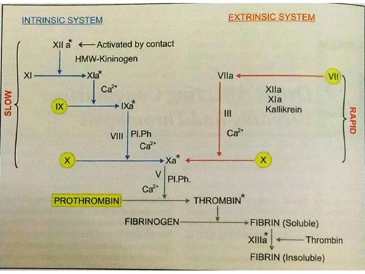 THROMBOLYTICS AND ANTIPLATELETS By DR SUSHIL KAMTANE THROMBOLYTICS
