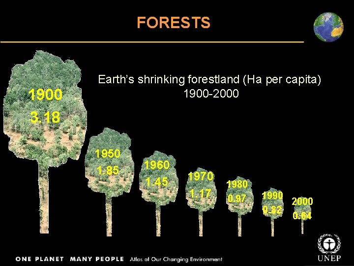THEMATIC SLIDES FORESTS FORESTS Tai National Park Cte