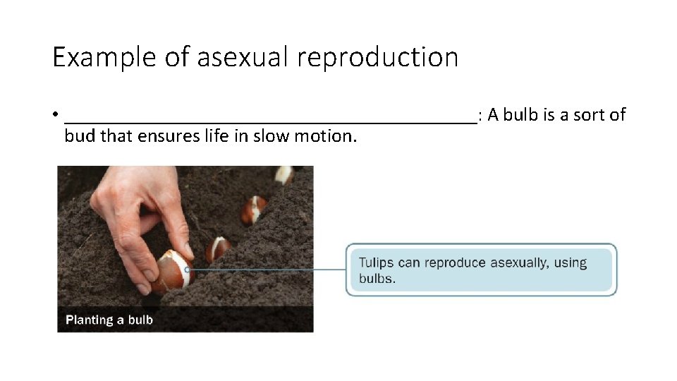 Lifesustaining processes and survival of species Reproductive mechanisms