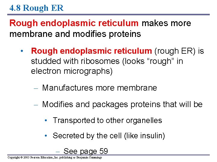 4 5 4 19 ORGANELLES OF THE ENDOMEMBRANE