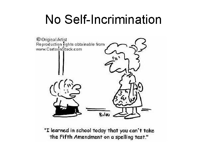 Unit I Basic Principles of Government The Citizens