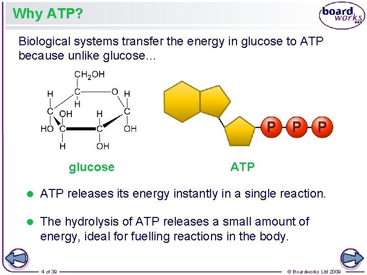 What is respiration Respiration is the process by