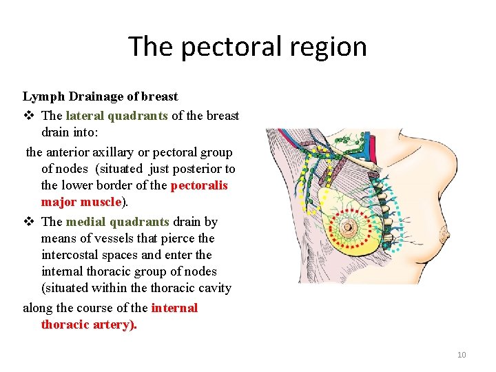 Upper limb Pectoral region Dr Amal Albtoosh Pectoral