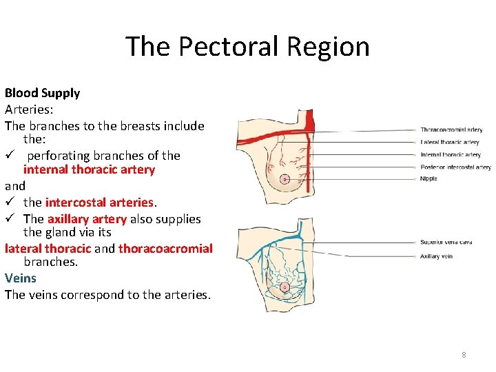 Upper limb Pectoral region Dr Amal Albtoosh Pectoral