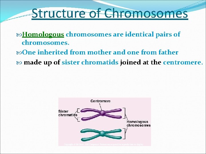 Todays Date Here 6 Meiosis process of reduction