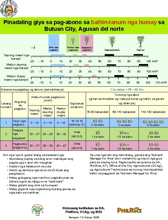 Quick guide for fertilizing transplanted rice in Butuan