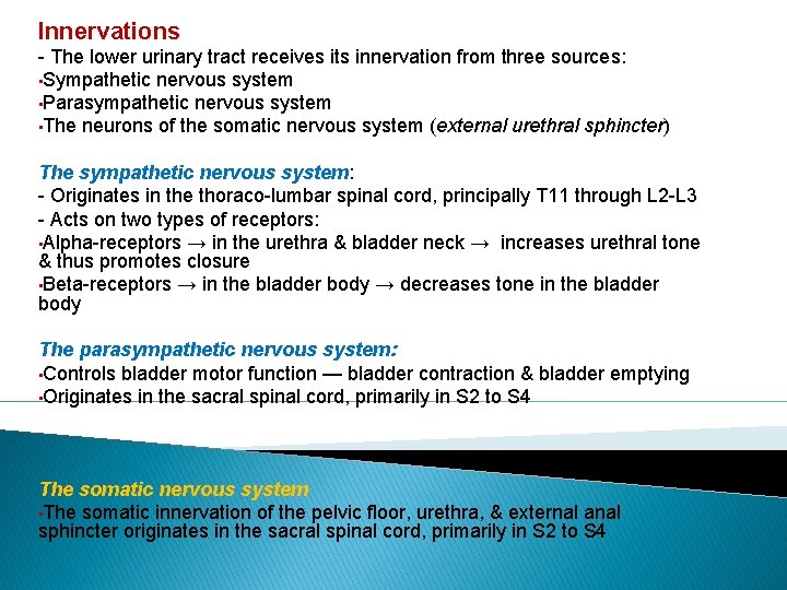 Urinary Incontinence Dr Ahlam AlKharabsheh Urinary incontinence The