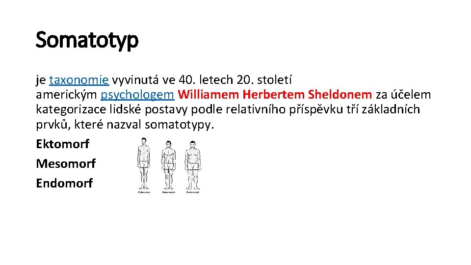 Somatotyp je taxonomie vyvinut ve 40 letech 20
