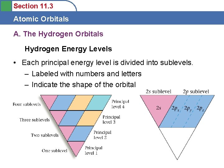 Section 11 3 Atomic Orbitals Georgia Performance Standards