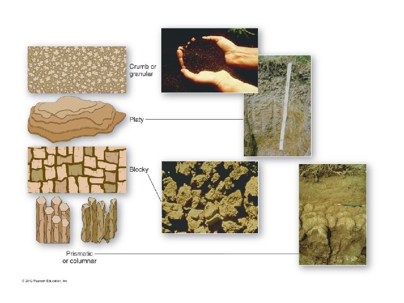 Chapter 12 Soils Overview Soil Regolith Soil components