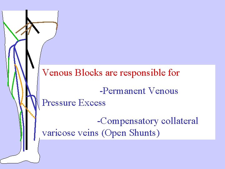 Duplex Assessment of Venous Hemodynamics Claude FRANCESCHI Roberto