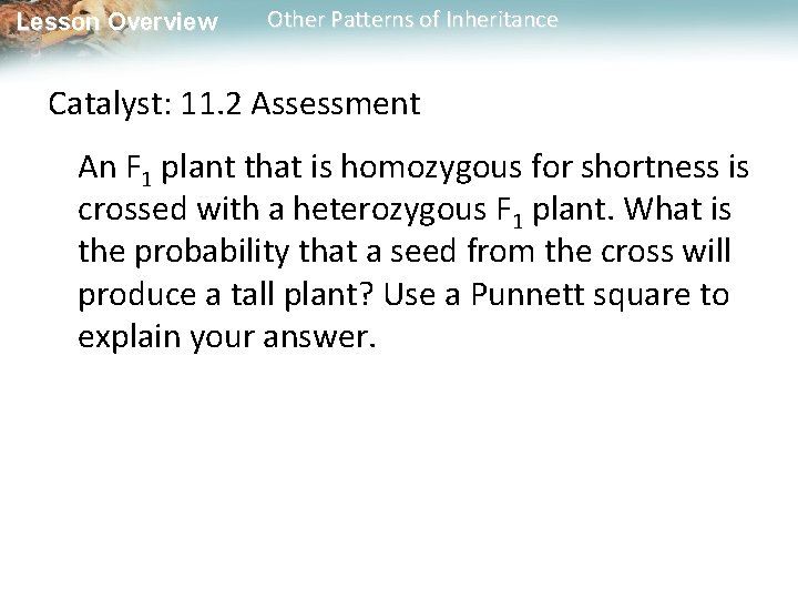 Lesson Overview Other Patterns of Inheritance Catalyst 11