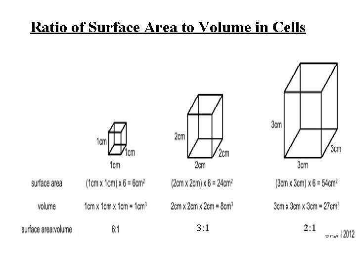 Cellular Reproduction Why Cells ReproduceDivide Growth Cell Repair