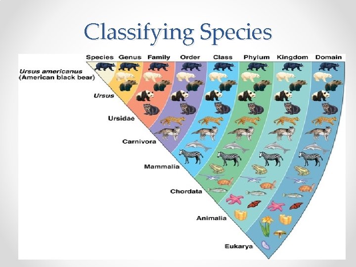 SBI 3 U Welcome Introduction Review course outline