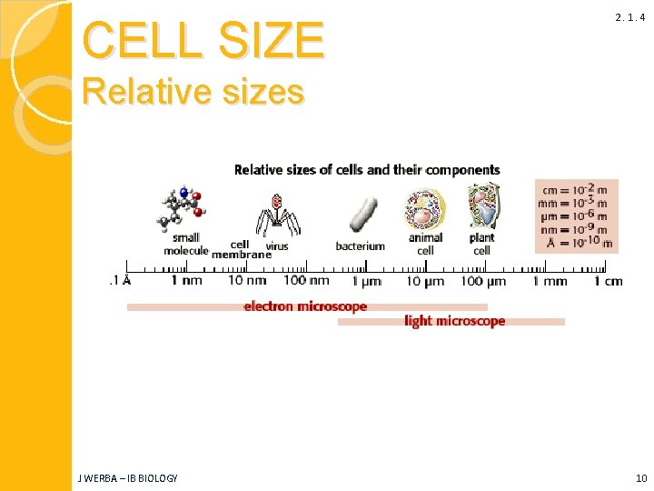CELL THEORY Topic 2 1 IB Biology Miss