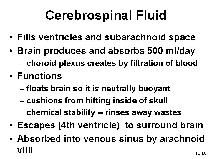 Chapter 14 The Brain and Cranial Nerves 14