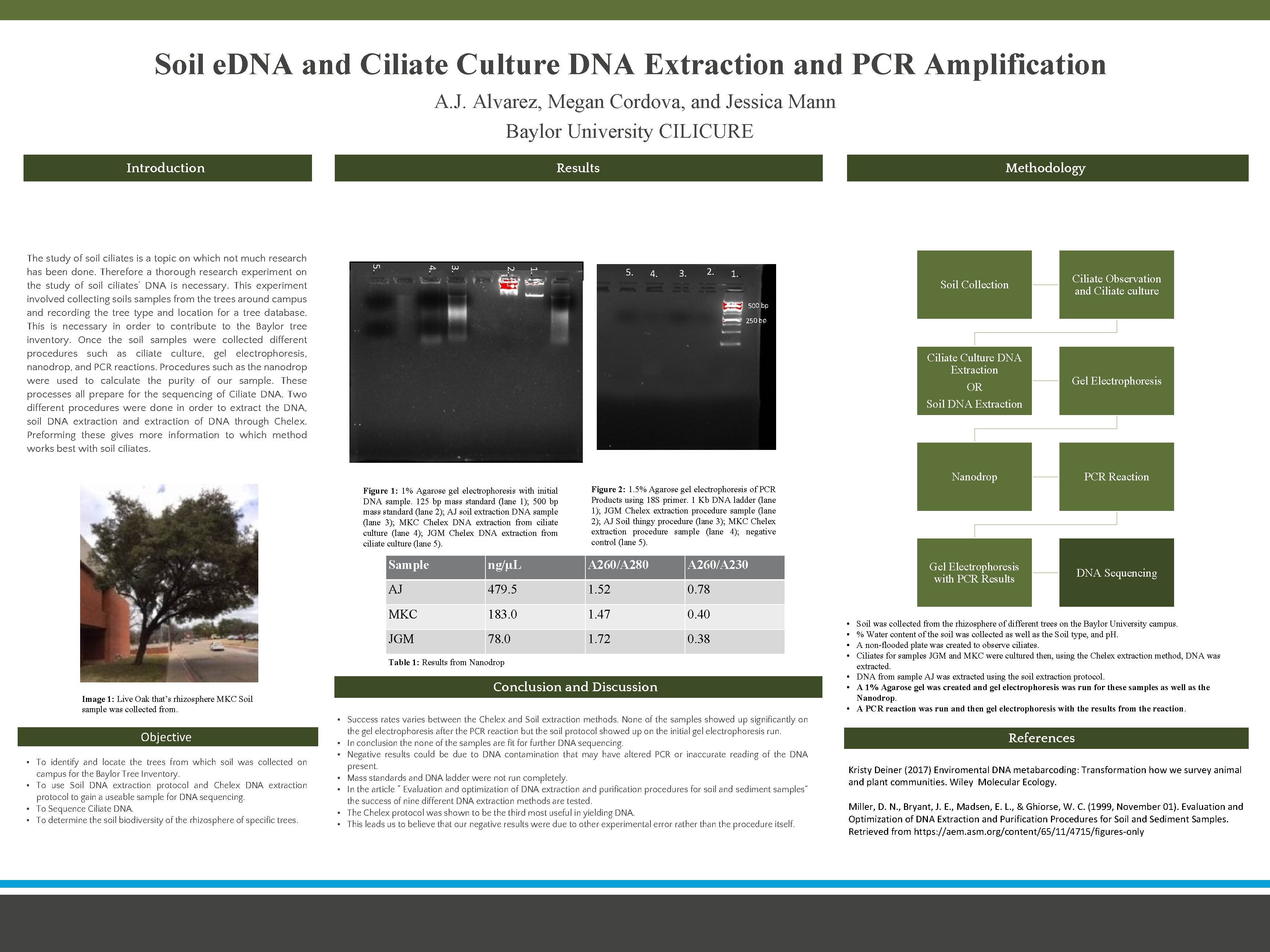 Soil e DNA and Ciliate Culture DNA Extraction